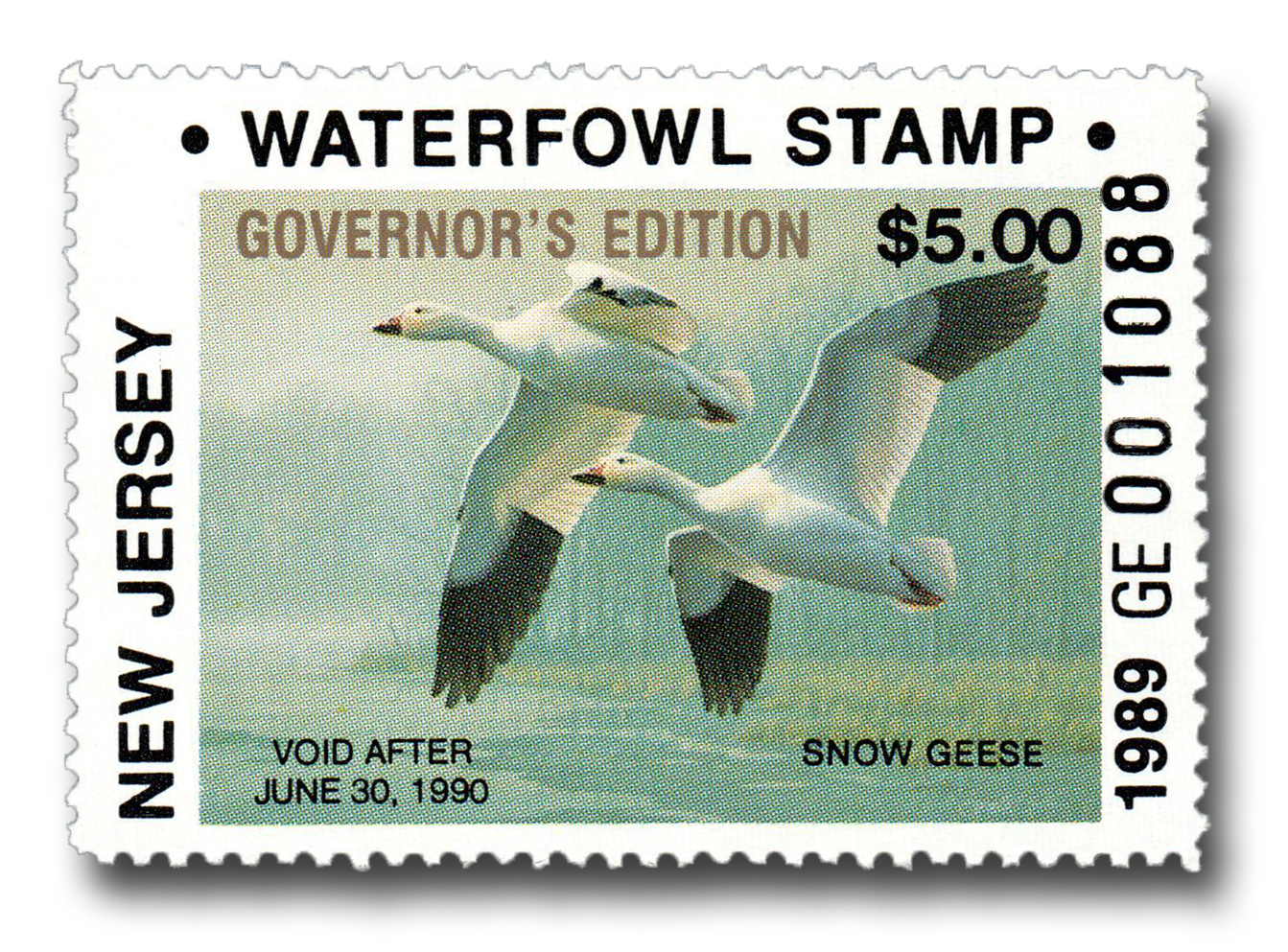 SDNJ6Ae - 1989 $5.00 New Jersey State Duck, Governor's Edition - Mystic ...