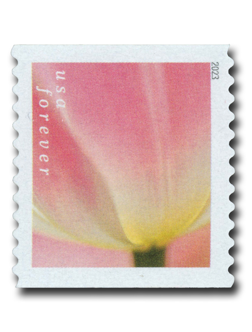 5767 - 2023 First-Class Forever Stamp - Tulip Blossoms: Pink Tulip with ...