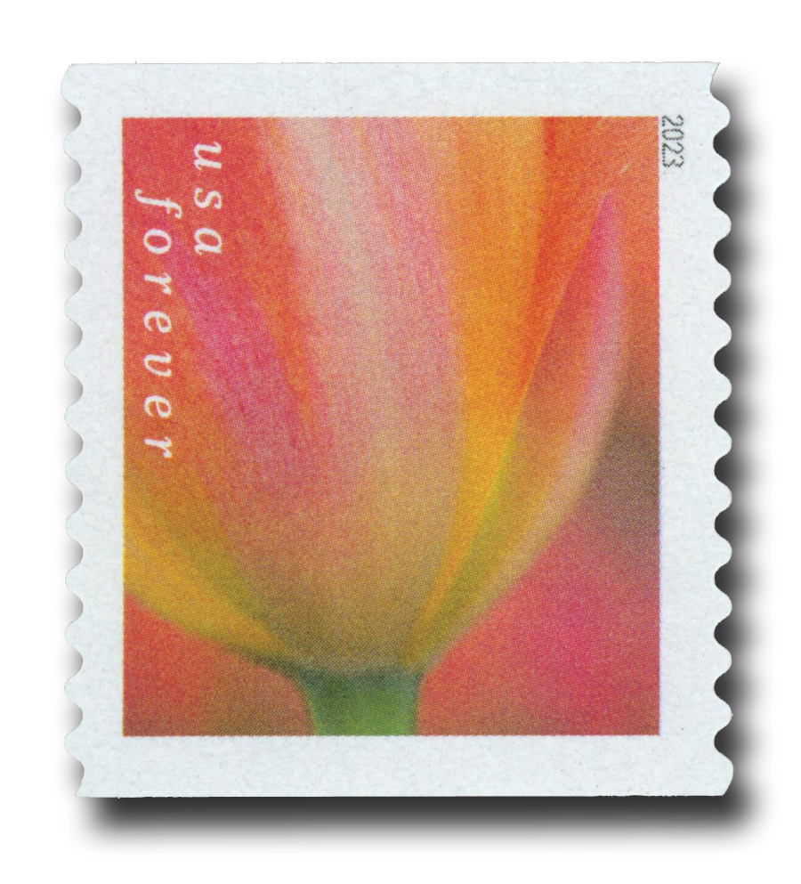 5769 - 2023 First-Class Forever Stamp - Tulip Blossoms: Pink and Orange ...