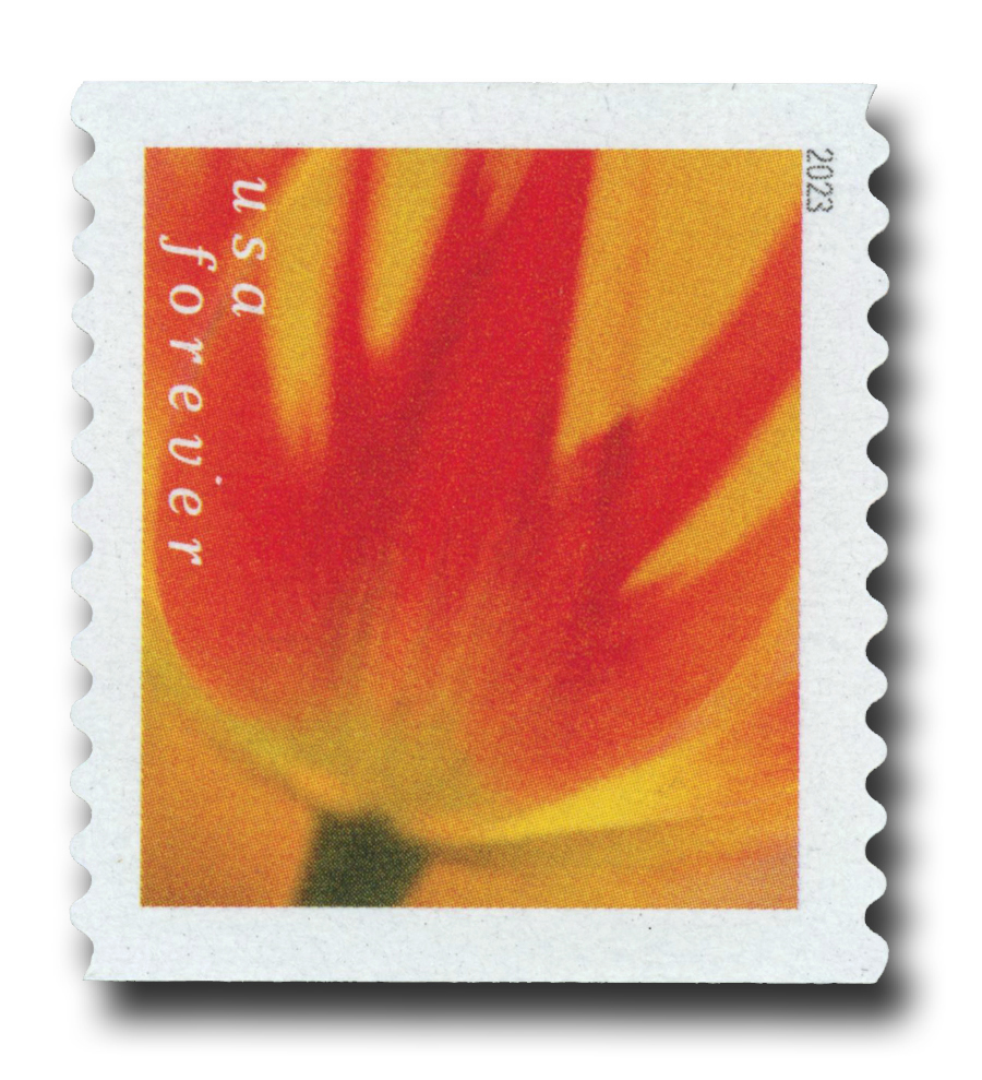 5771 - 2023 First-Class Forever Stamp - Tulip Blossoms: Orange and Red ...