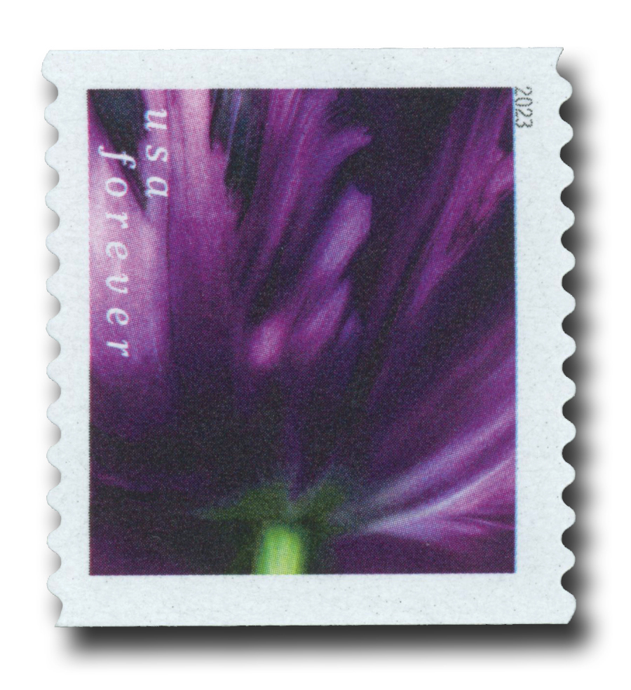 5772 - 2023 First-Class Forever Stamp - Tulip Blossoms: Dark Purple ...