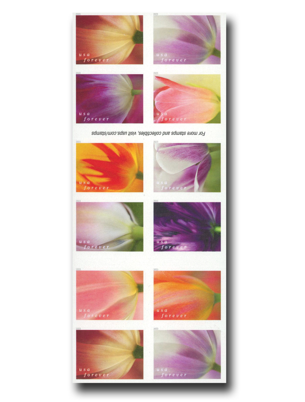 5777-86 - 2023 First-Class Forever Stamps - Tulip Blossoms (booklet ...