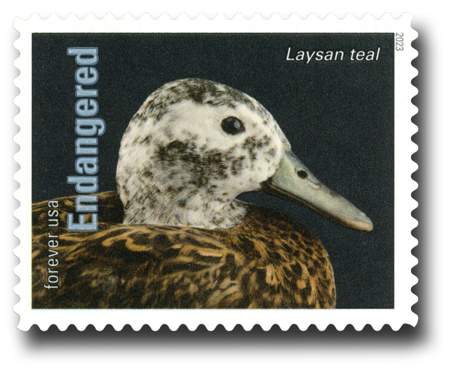 5799a - 2023 First-Class Forever Stamp - Endangered Species: Laysan ...