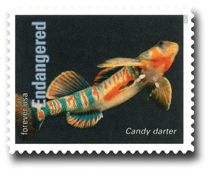 5799e - 2023 First-Class Forever Stamp - Endangered Species: Candy ...