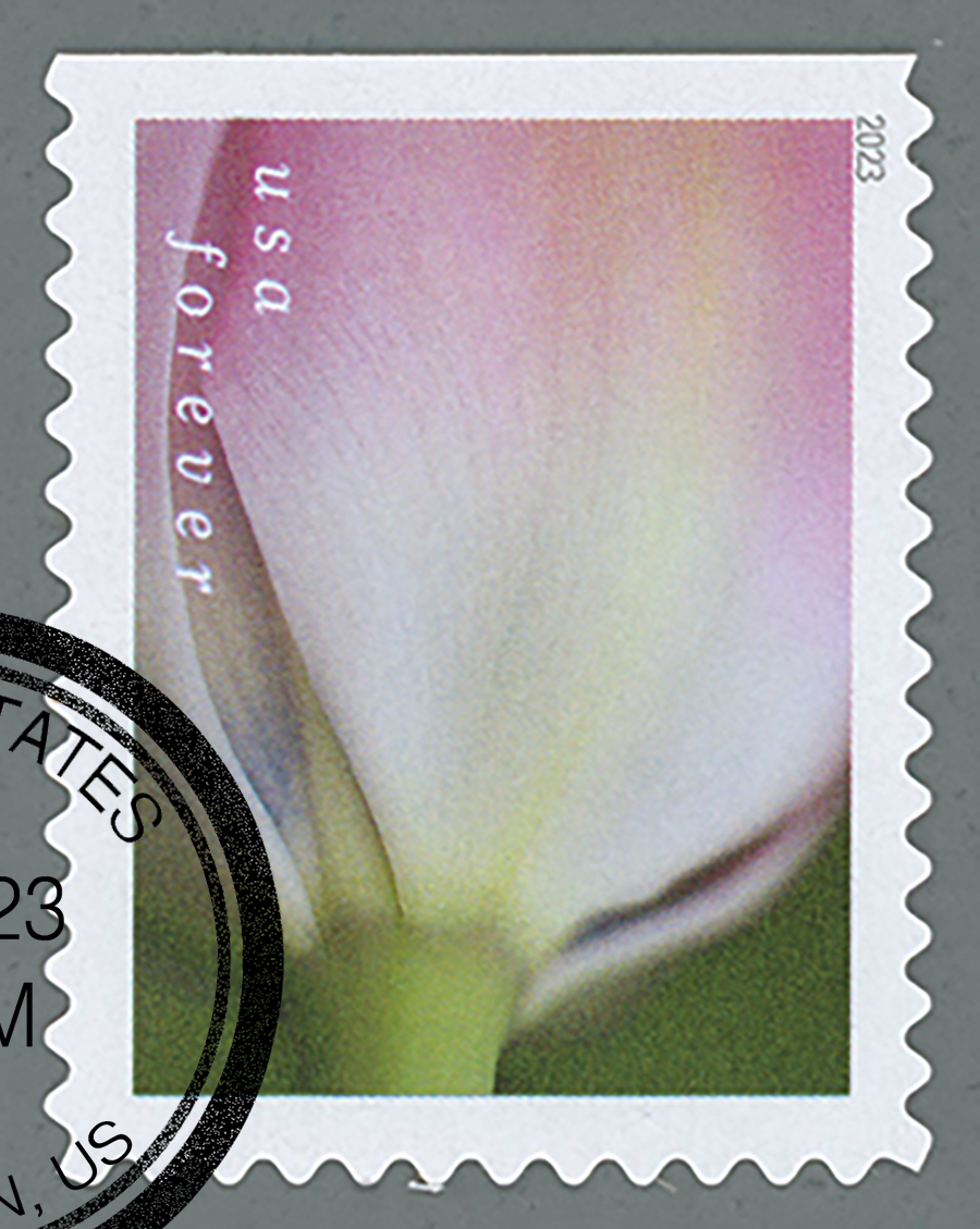 5779 - 2023 First-Class Forever Stamp - Tulip Blossoms: Pink Tulip with ...