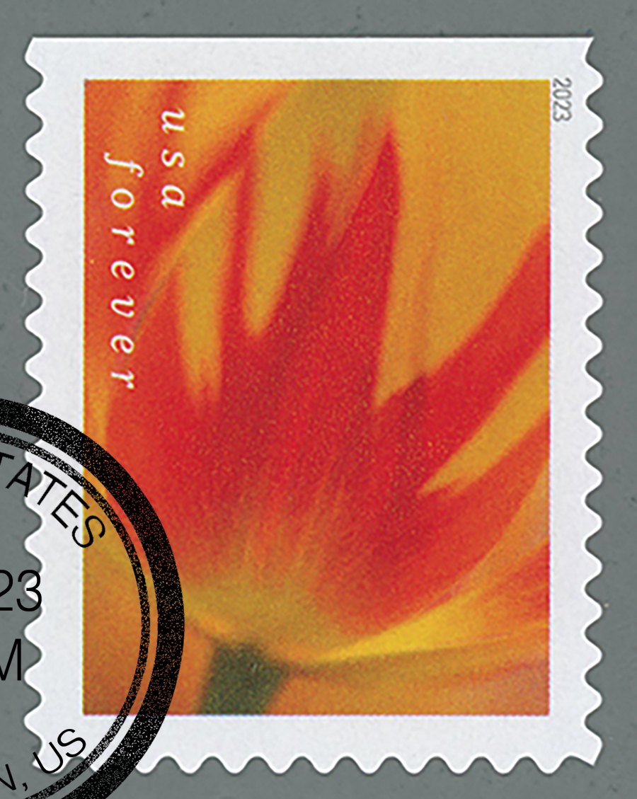 5780 - 2023 First-Class Forever Stamp - Tulip Blossoms: Orange and Red ...