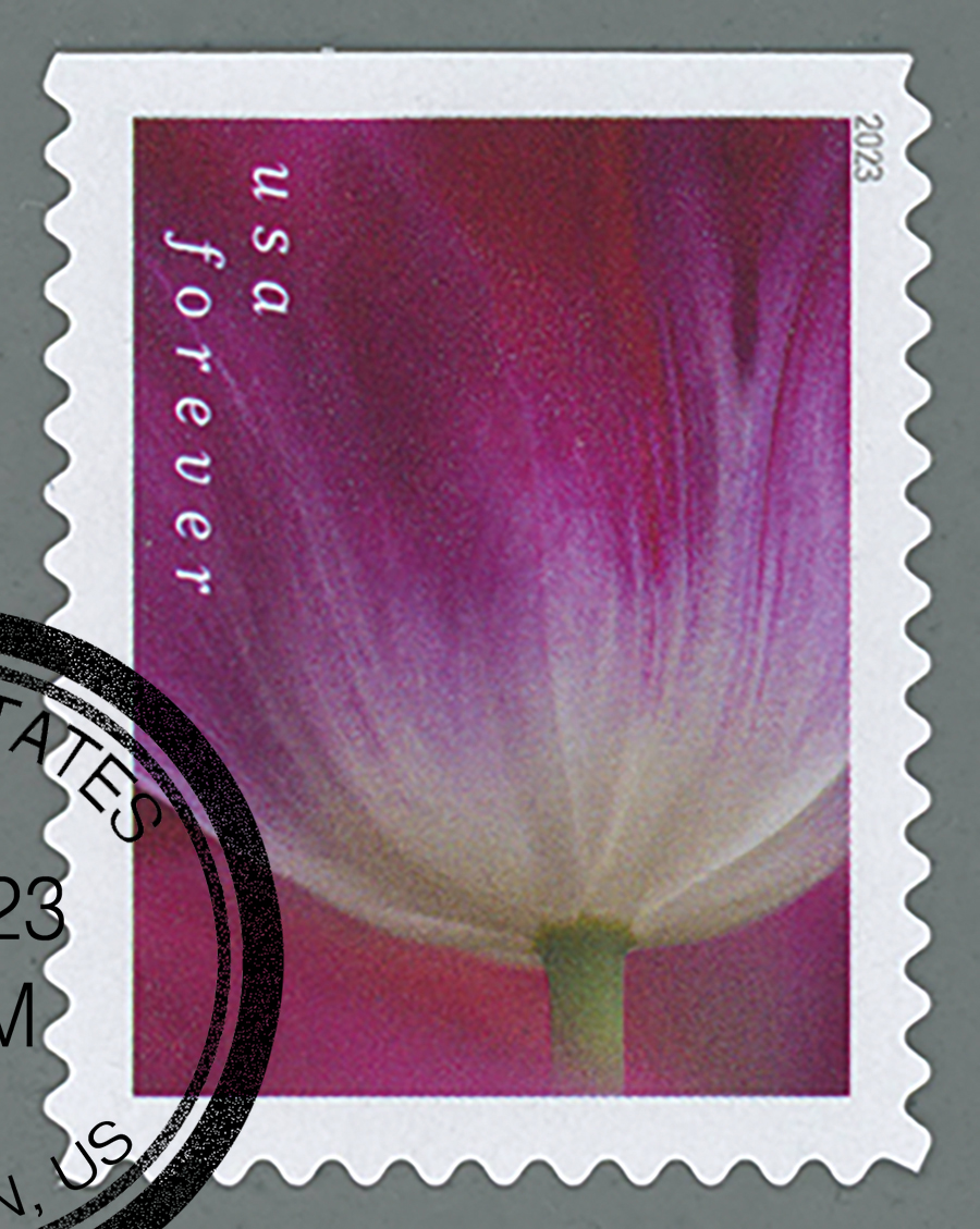 5781 - 2023 First-Class Forever Stamp - Tulip Blossoms: Purple Tulip ...