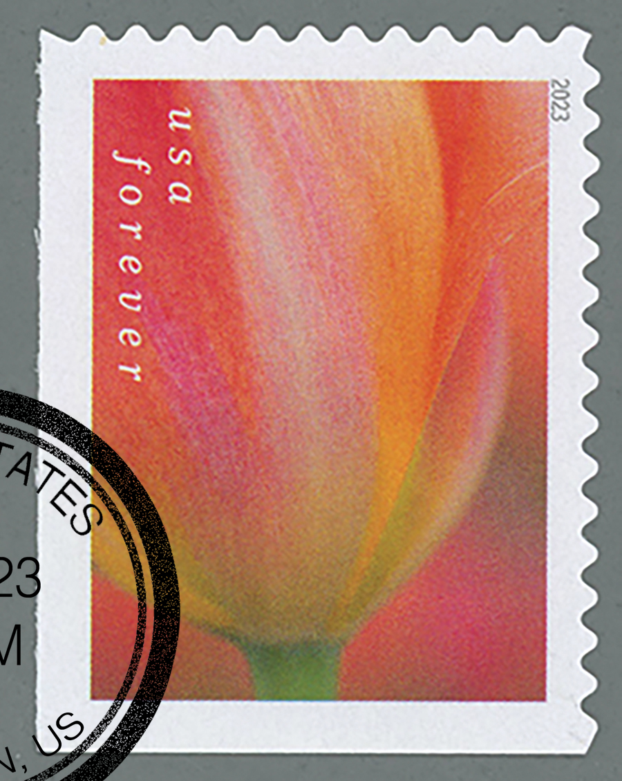 5783 - 2023 First-Class Forever Stamp - Tulip Blossoms: Pink and Orange ...