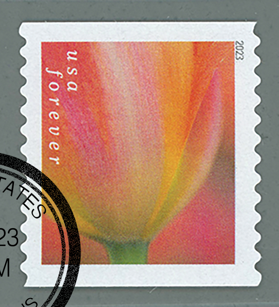 5769 - 2023 First-Class Forever Stamp - Tulip Blossoms: Pink and Orange ...