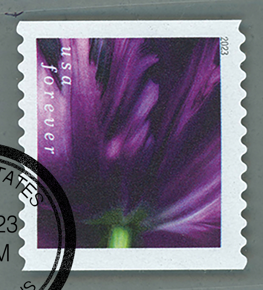 5772 - 2023 First-Class Forever Stamp - Tulip Blossoms: Dark Purple ...