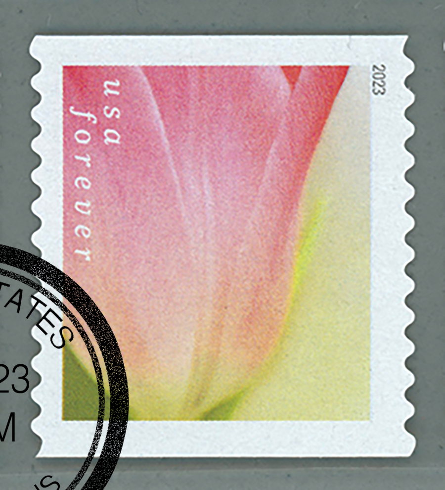 5775 - 2023 First-Class Forever Stamp - Tulip Blossoms: Pink Tulip and ...