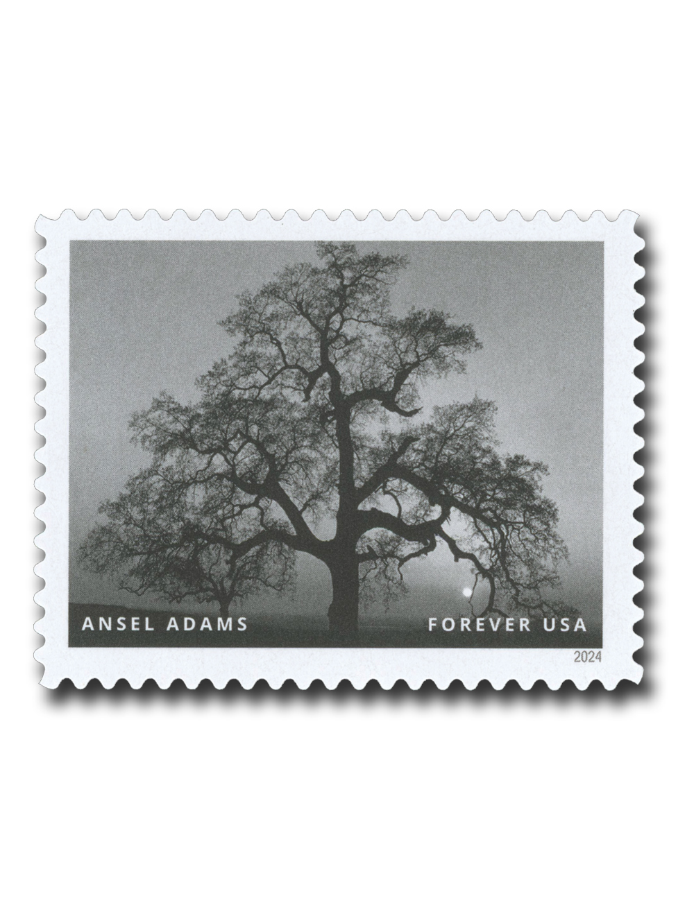 5854b - 2024 First-Class Forever Stamp - Photographs by Ansel Adams ...