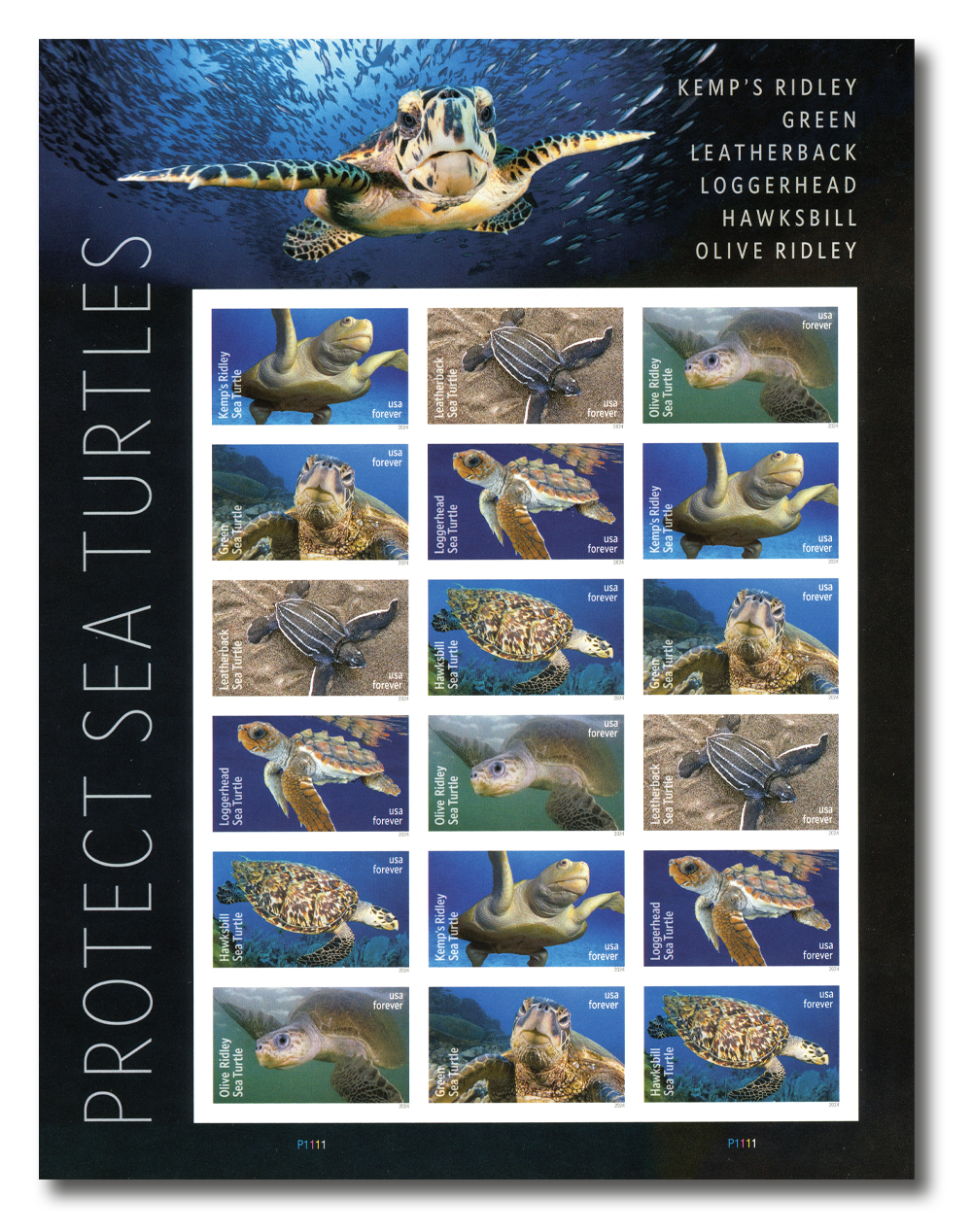 5865-70 - 2024 First-Class Forever Stamps - Protect Sea Turtles ...