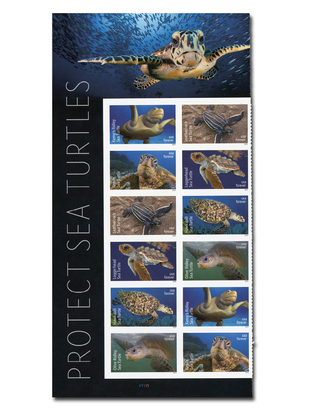 5865-70 - 2024 First-Class Forever Stamps - Protect Sea Turtles ...