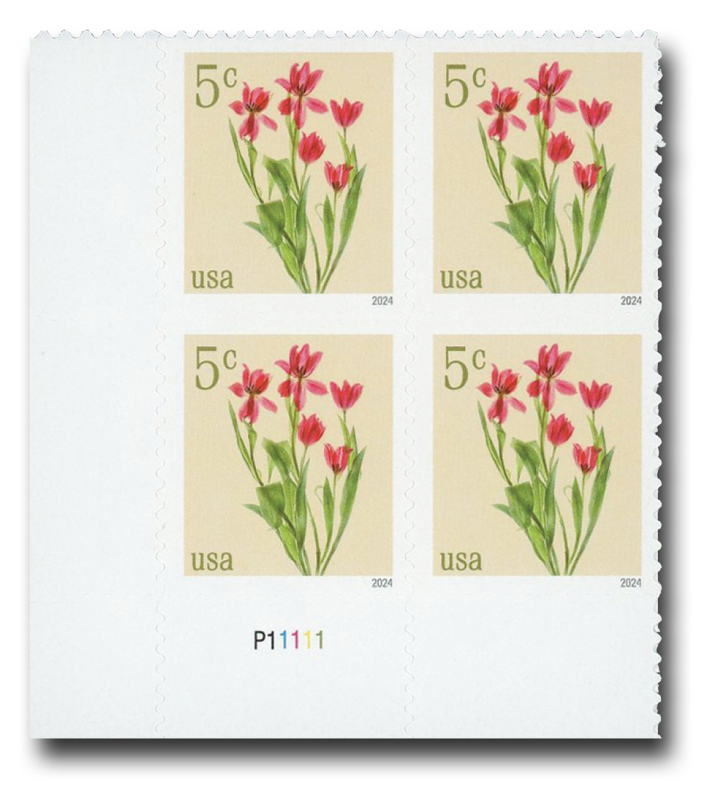 5900 - 2024 5c Red Tulips (from pane) - Mystic Stamp Company