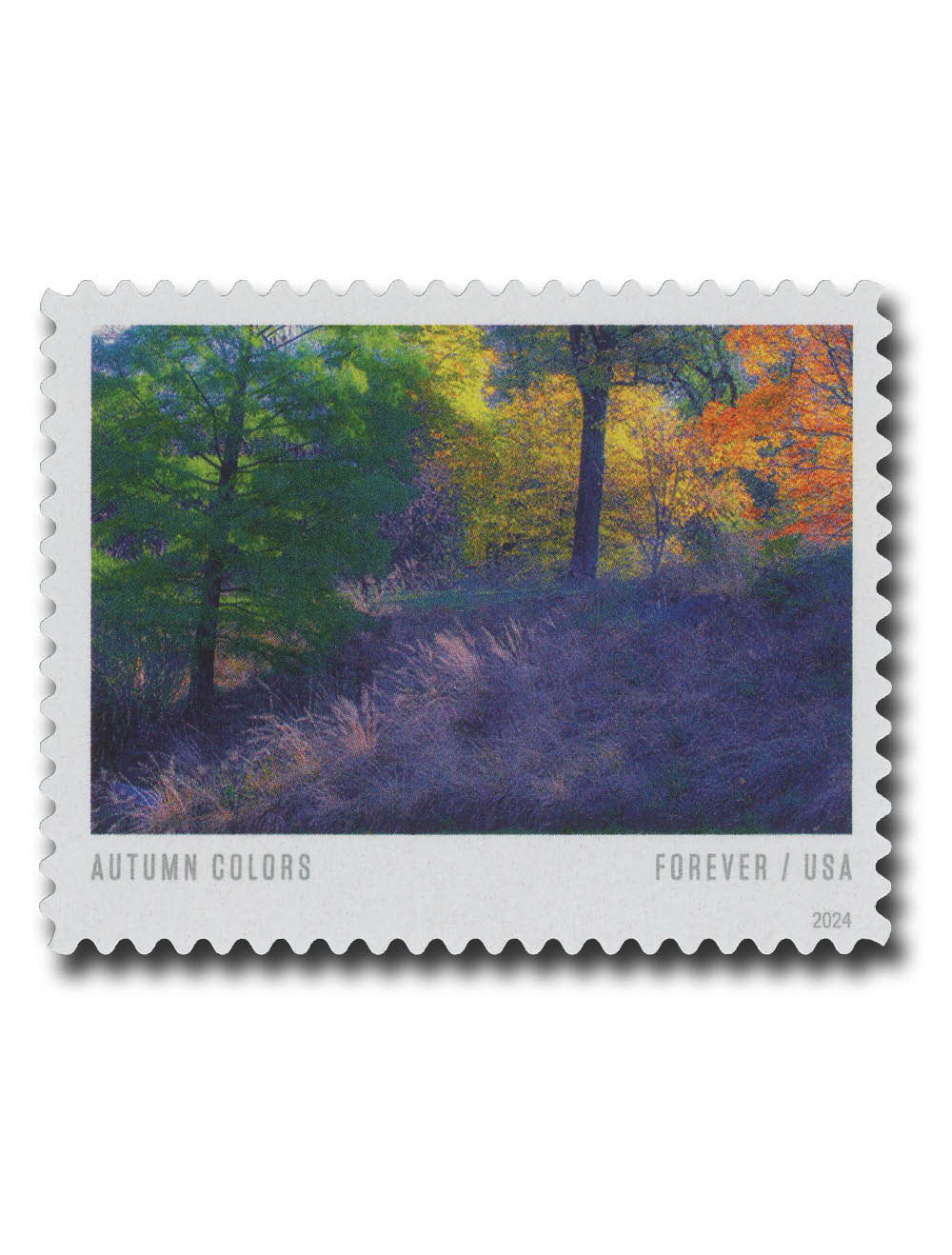 5929 - 2024 First-Class Forever Stamp - Autumn Colors: Trees, Purple ...