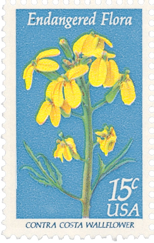 1785 - 1979 15c Endangered Flora: Contra Costa Wallflower - Mystic ...