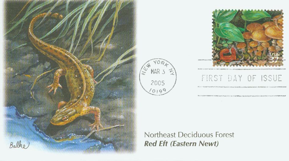 3899i - 2005 37c Northeast Deciduous Forest: Red Eft - Mystic Stamp Company