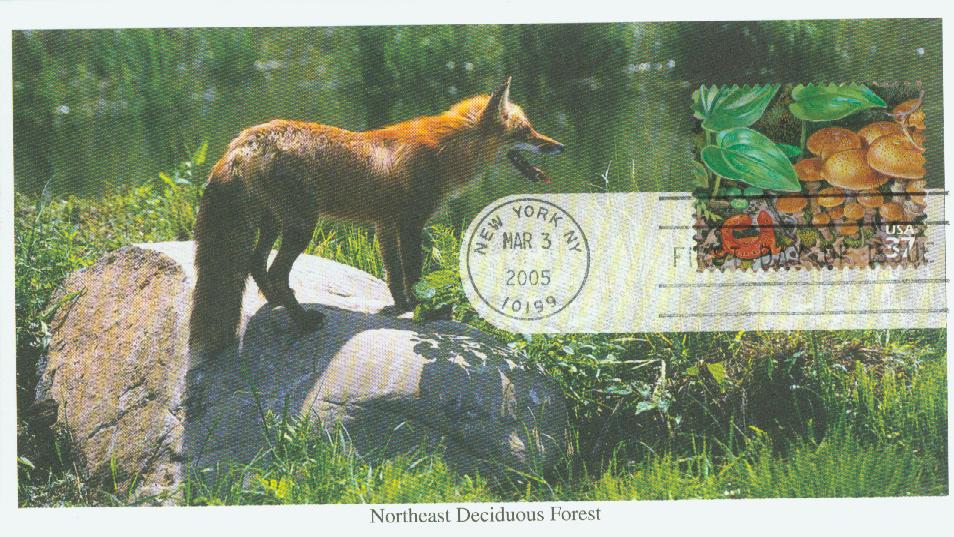 3899i - 2005 37c Northeast Deciduous Forest: Red Eft - Mystic Stamp Company