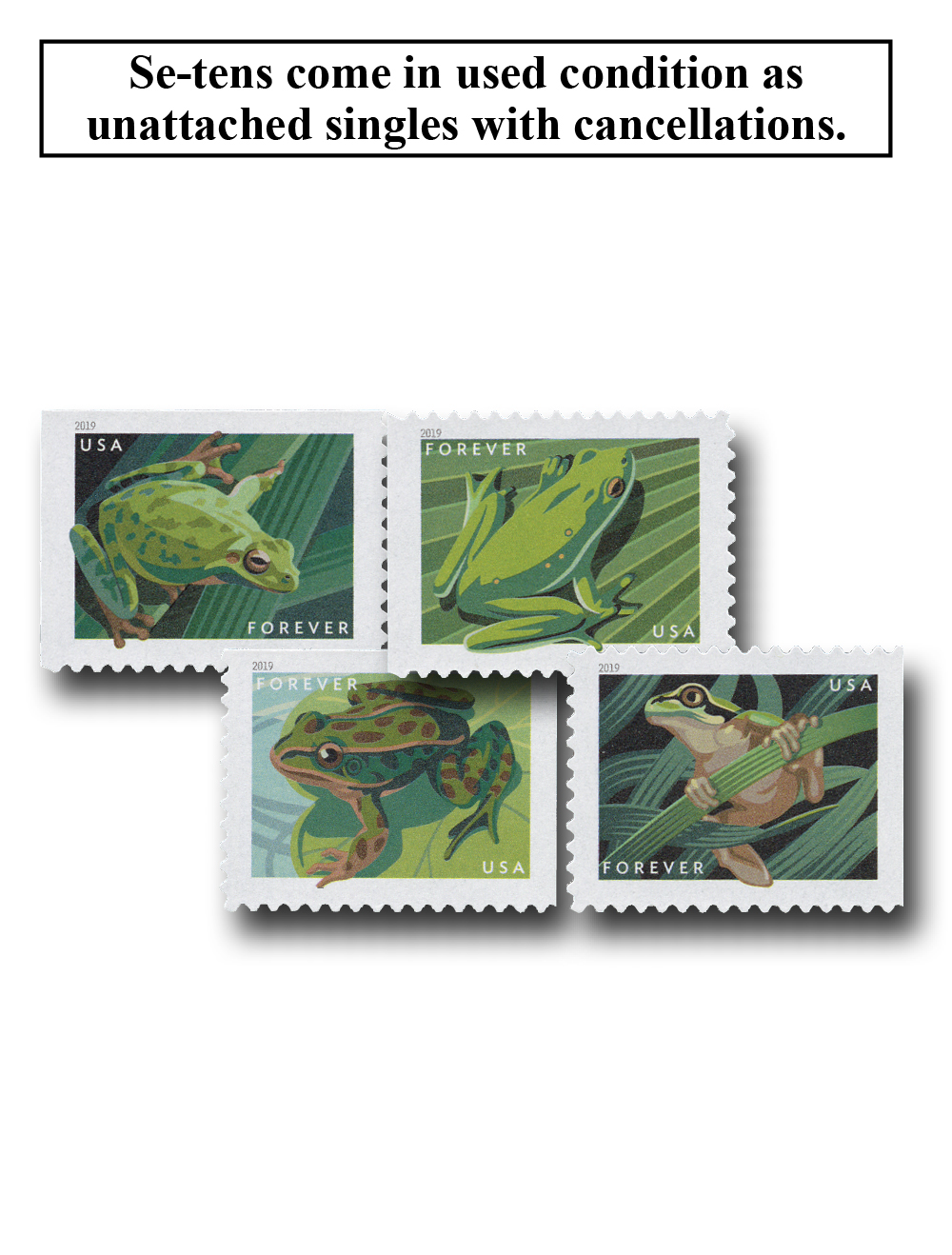 5395-98 - 2019 First-Class Forever Stamp - Frogs - Mystic Stamp Company