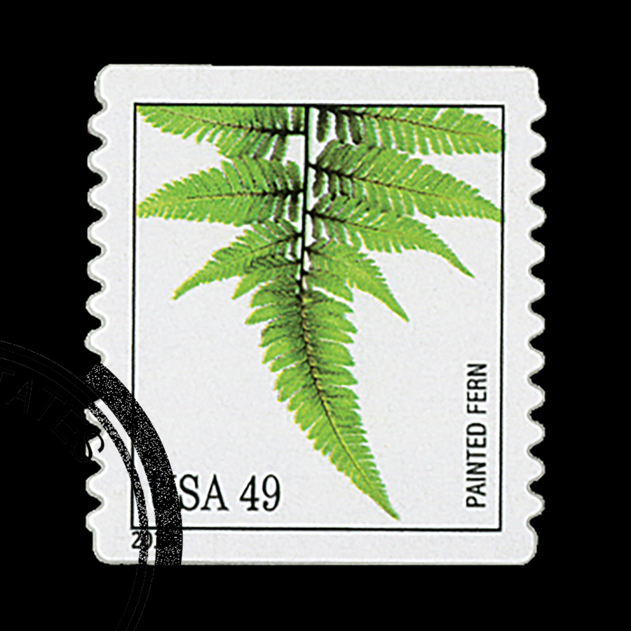 4852 - 2014 49c Ferns: Painted Fern - Mystic Stamp Company