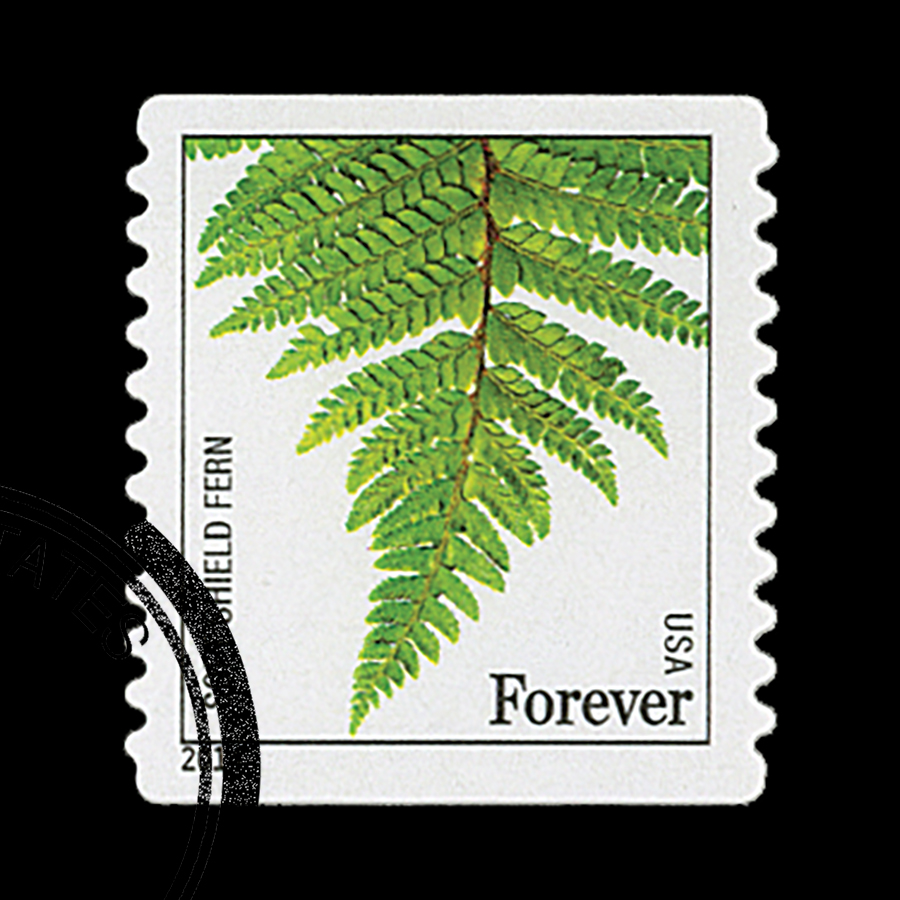 4875 - 2014 First-Class Forever Stamp - Ferns (non-denominated): Soft ...