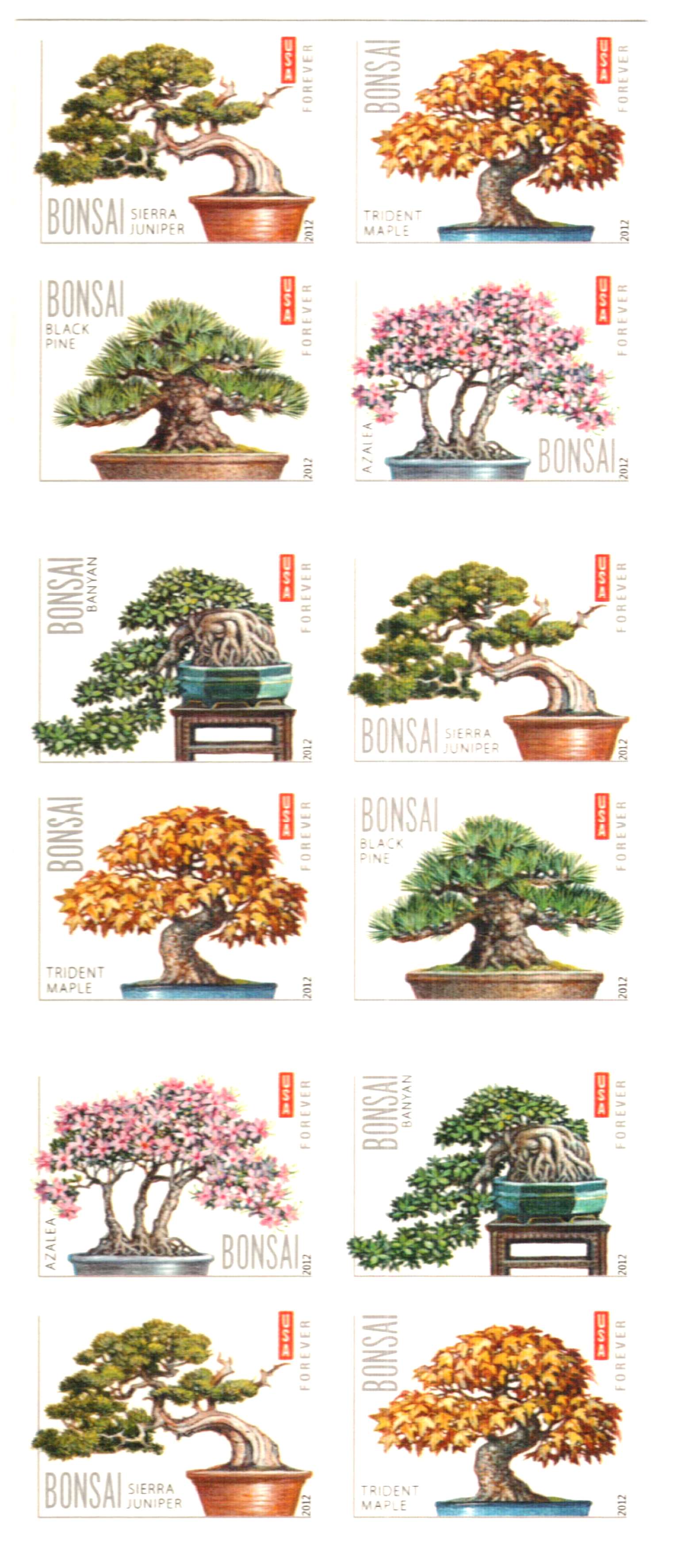 4618-22 - 2012 First-Class Forever Stamp - Bonsai Trees - Mystic Stamp ...