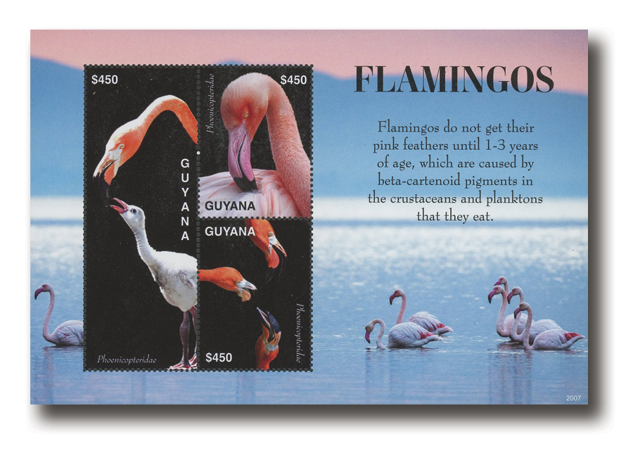 MFN314 - 2020 $450 Flamingos: Adult and Child Flamingo, Mint Sheet of 3 ...