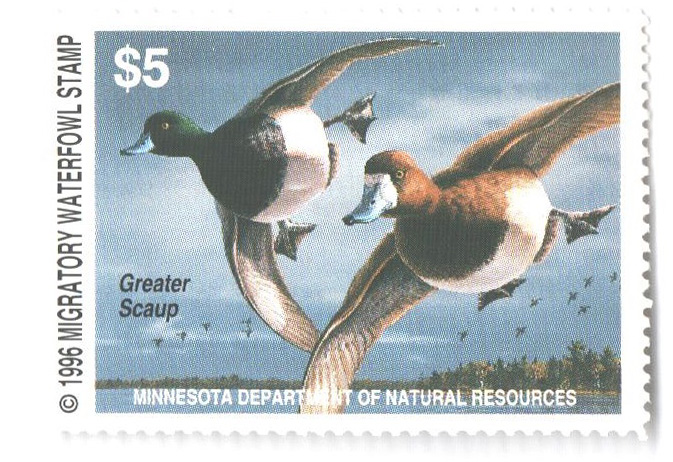 SDMN20 - 1996 Minnesota State Duck Stamp - Mystic Stamp Company