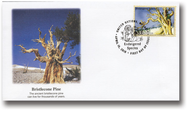 UN1001 - 2010 UN NY Endangered - Bristlecone Pine - Mystic Stamp Company