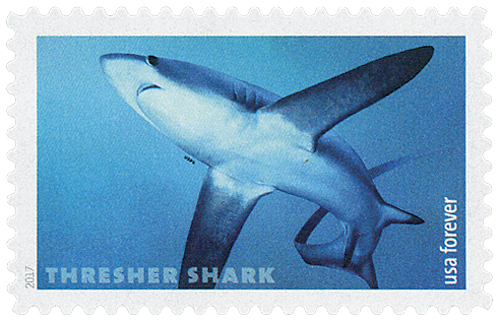 5225 - 2017 First-Class Forever Stamp - Sharks: Thresher Shark - Mystic ...