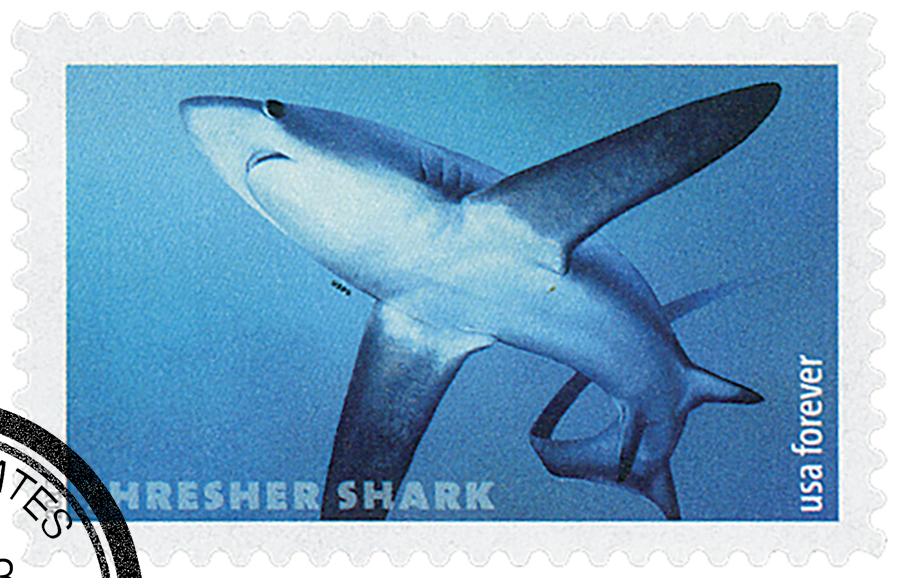 5225 - 2017 First-Class Forever Stamp - Sharks: Thresher Shark - Mystic ...