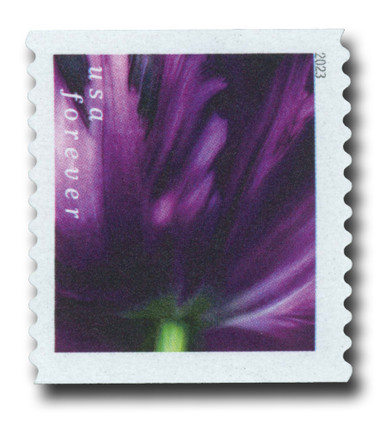 5772 - 2023 First-Class Forever Stamp - Tulip Blossoms: Dark Purple ...