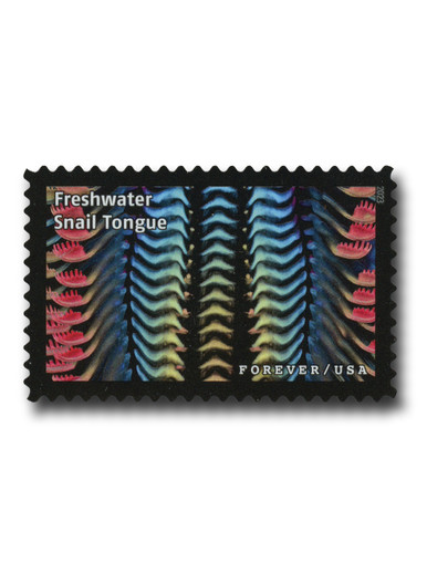 5802o - 2023 First-Class Forever Stamp - Life Magnified: Freshwater ...