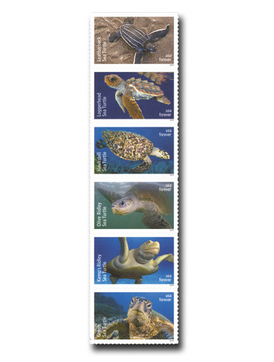 5865-70 - 2024 First-Class Forever Stamps - Protect Sea Turtles ...