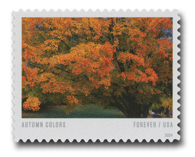 5933 - 2024 First-Class Forever Stamp - Autumn Colors: Tree with Orange ...