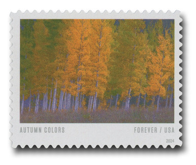 5934 - 2024 First-Class Forever Stamp - Autumn Colors: Grove of Trees ...