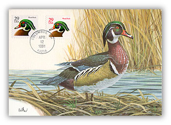 M91-19 - 1991 29c Wood Duck MCC - Mystic Stamp Company