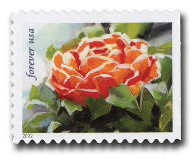 5736 - 2022 First-Class Forever Stamp - Snowy Beauty: Ranunculus ...