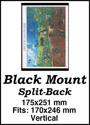 MM794 - 175x251mm 2 Vertical Black Split-Back Mounts - Mystic Stamp Company