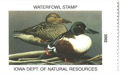 SDIA31 - 2002 Iowa State Duck Stamp - Mystic Stamp Company
