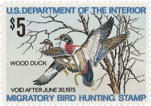 RW41 - 1974 $5.00 Federal Duck Stamp - Wood Ducks - Mystic Stamp Company