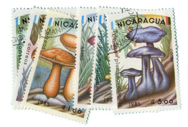 1403-08 - 1985 Nicaragua - Mystic Stamp Company