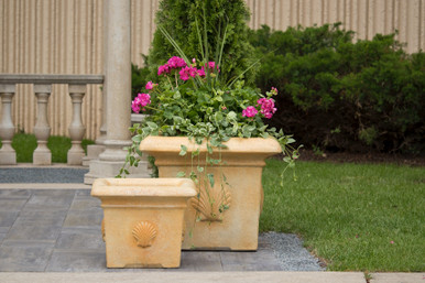 BUY 25" Large Shell Planter - Henri Studio Concrete Planters - Four ...