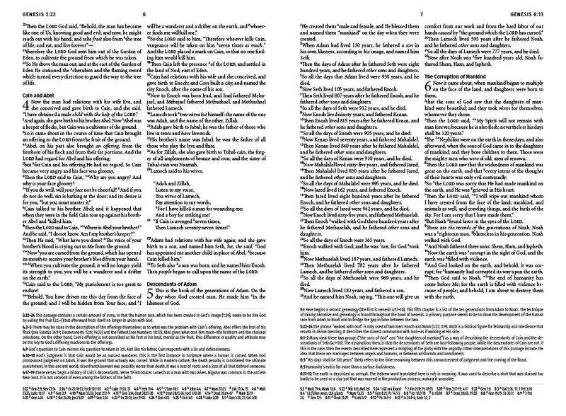 Light for Life NASB Study Bible [Golden Fields]
