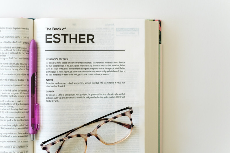 Daily Wisdom for Teen Girls KJV Devotional Bible [Blush Rainforest]