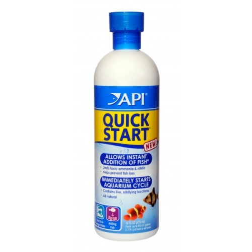 API Quick Start - New Life Keysborough