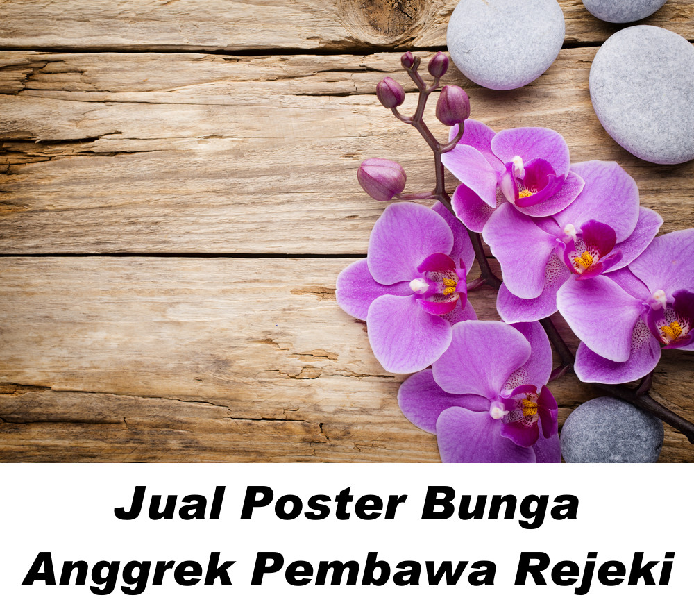 Gambar Bunga Feng Shui yang Membawa Kekayaan dan Kesejahteraan ke dalam ...