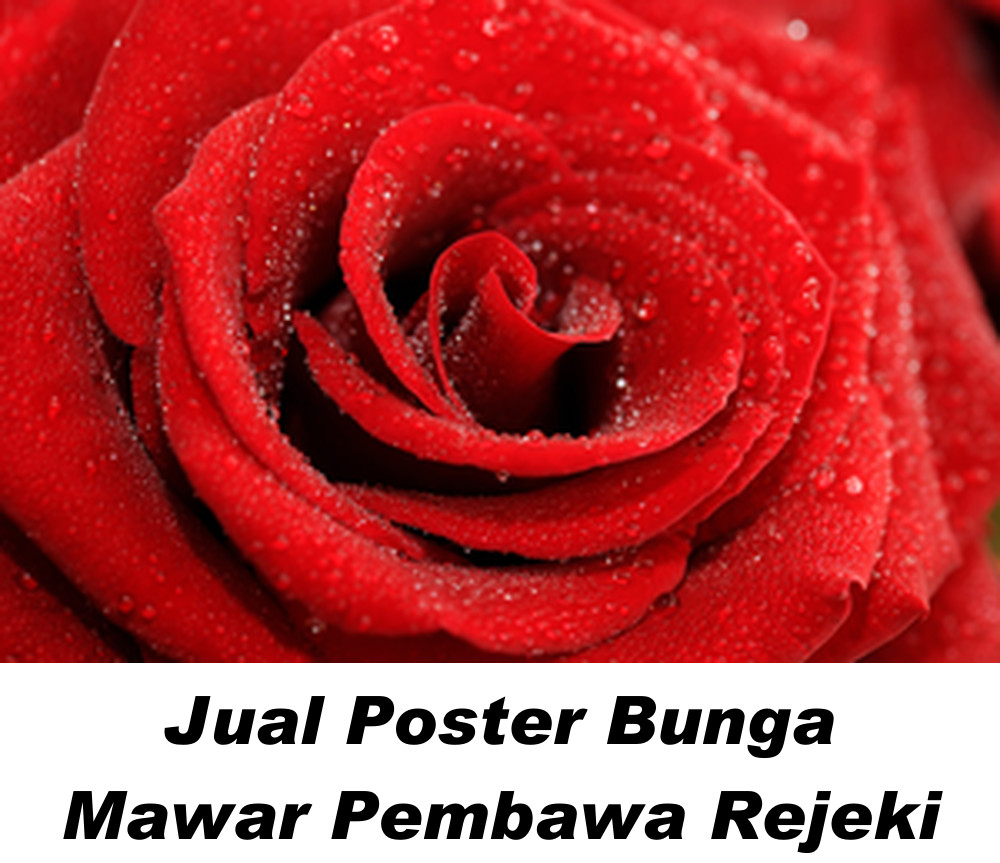 Gambar Bunga Feng Shui yang Membawa Kekayaan dan Kesejahteraan ke dalam ...