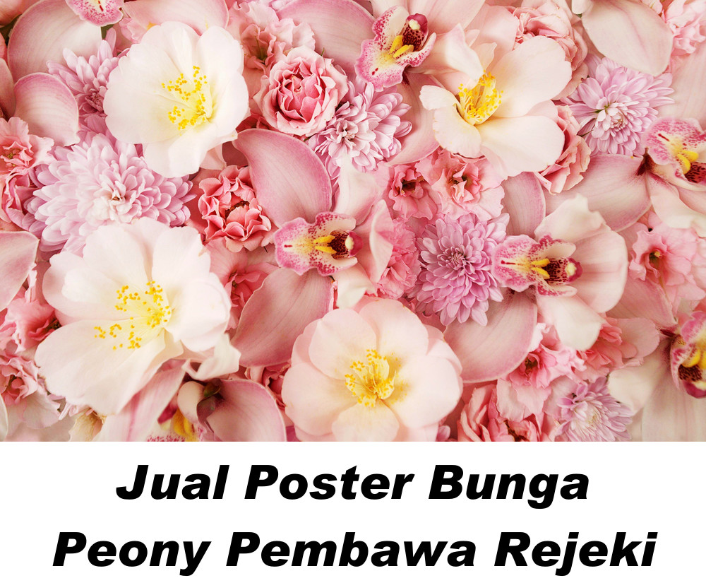 Gambar Bunga Peony Menurut Fengshui Untuk Kebahagiaan Dan Kesejahteraan ...